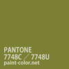 PANTONE_FORMURAGUIDE | PANTONE7748C／7748U（メラミン/アクリル/ラッカー）| 塗料調色のペイントカラー